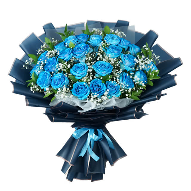 24 Blue Rose Bouquet - Wonder - Get Well Soon | Singapore