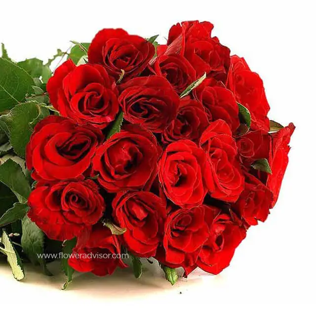 Rose Delivery Sri Lanka – Fresh Roses with FlowerAdvisor SL