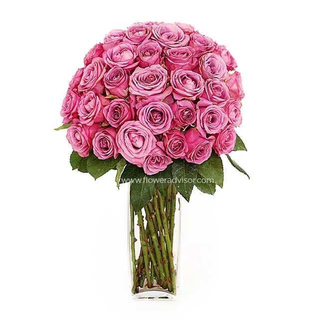 Rose Delivery Sri Lanka – Fresh Roses with FlowerAdvisor SL
