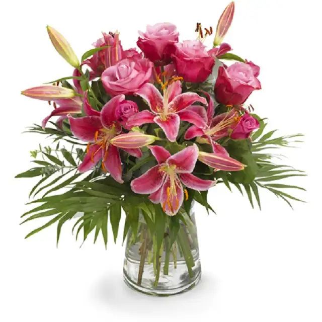 Pink Snuggle - Lilies | Germany Flowers