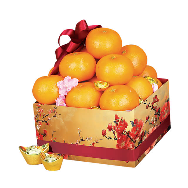 Festive Mandarin Orange Bundle - CNY Hamper 2025 - | Singapore
