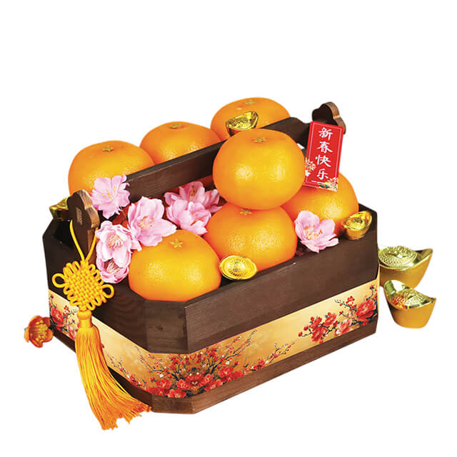 18 Mandarin Oranges Gift Set - CNY Hamper 2025 - | Singapore