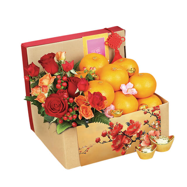 Prosperity Mandarin Gift Set - CNY Hamper 2025 - | Singapore